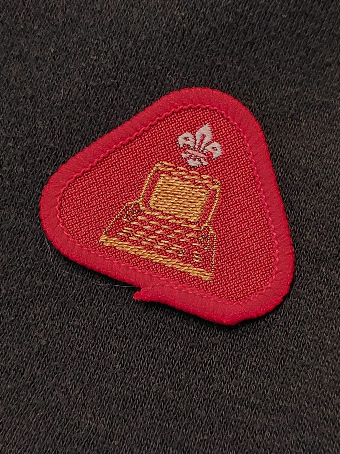 Digital Maker Scouts Badge – First Coding